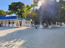 Our Tours || Mayan Adventures